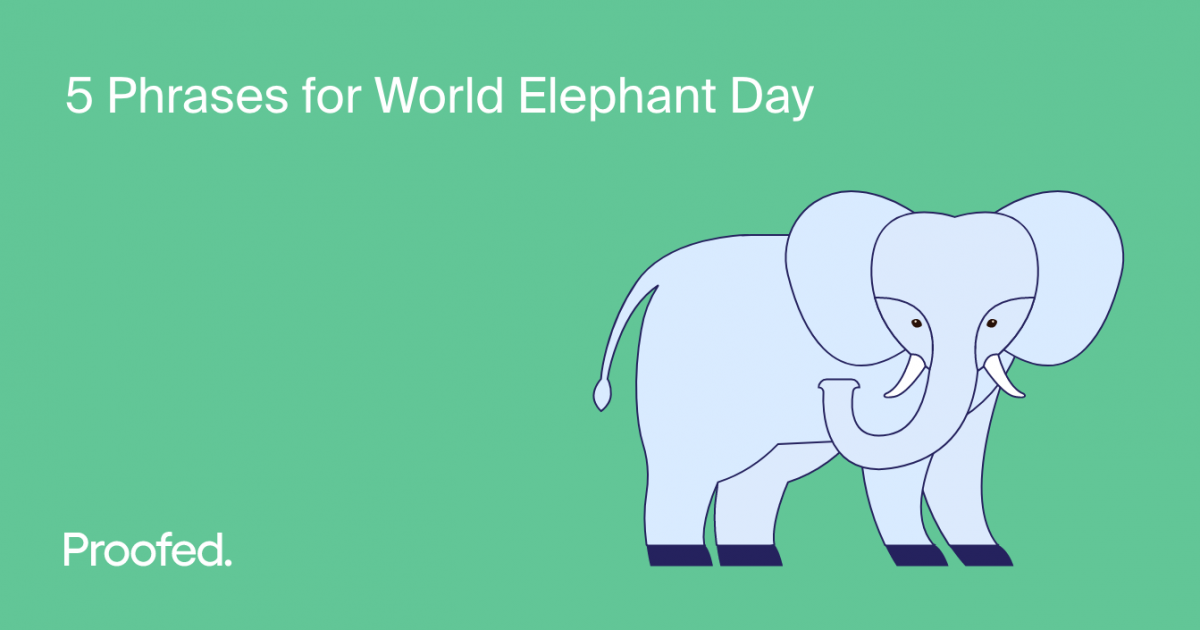Never Forget: 5 Phrases for World Elephant Day | Proofed