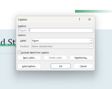 How to Add Chapter Numbers to Captions in Microsoft Word | Proofed